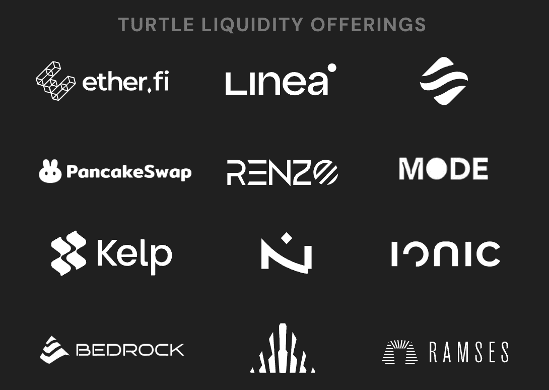 Jumper Learn | The Ultimate Guide to Turtle Club